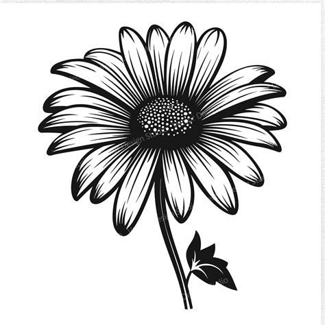 Daisy Flower Clip Art Black White
