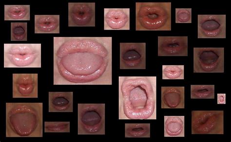 Lips Lips Lips Porn Pictures Xxx Photos Sex Images 63058 Pictoa