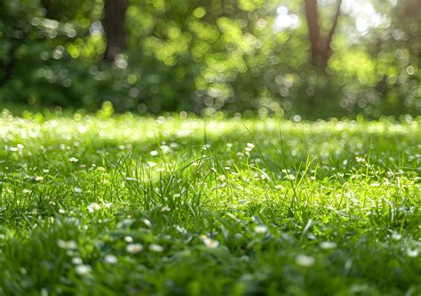 Download Ai Generated Grass Trees Royalty Free Stock Illustration