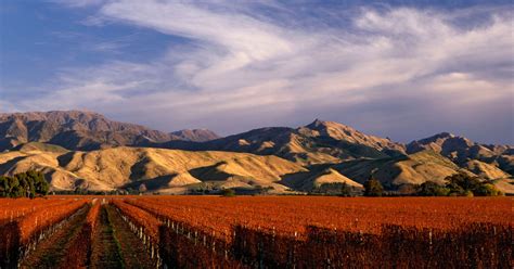 Greywacke Aroha Wine
