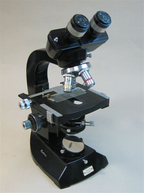 Binocular Microscope Physics Museum The University Of Queensland