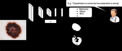 Method Overview A Pre Trained Classification Model Produces
