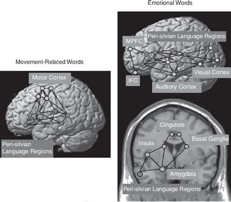 Distributed Representation Revisited Altexploit