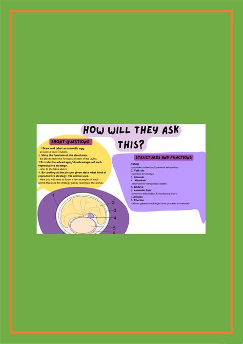 2 Amniotic Egg Amniotic Egg Structures And Function How Will They