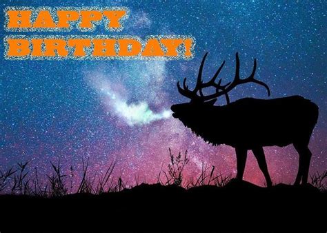Happy Birthday Images With Deer Funny Happy Birthday Images Happy
