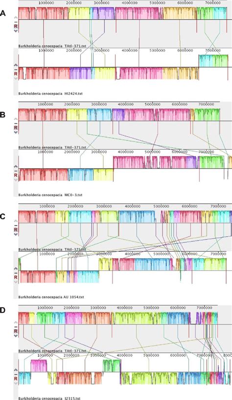 Whole Genome Alignment Of B Cenocepacia Tatl 371 Against Other Bcc