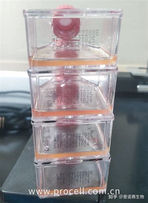 细胞学堂 培养基颜色改变意味着什么 知乎