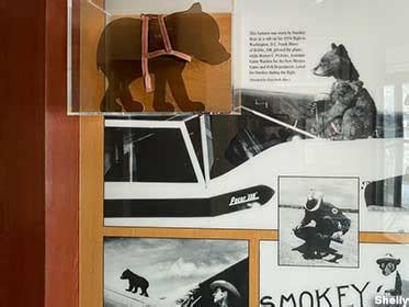 Capitan Nm Smokey Bear Museum And Grave