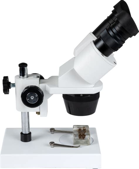 Celestron Labs S1030n Stereo Microscope