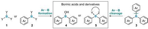 Recent Advances In The Synthesis Of Borinic Acid Derivatives