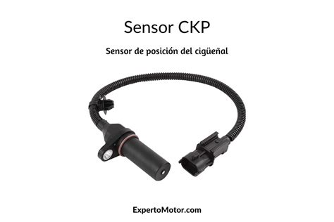 Sensor Ckp Sensor De Posición Del Cigüeñal Expertomotor Sensor Ckp Sensor De Posición Del Cigüeñal Expertomotor