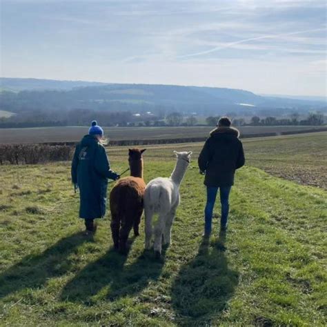Meet Phoenix Crystal Palace Fcs Live Mascot Eagle