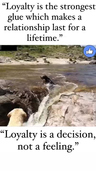 Video Michael Uwadone Posted On Linkedin