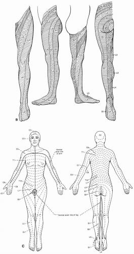 Sensory Localization Neupsy Key