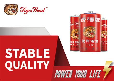 Structure Of A Dry Cell Tigerhead