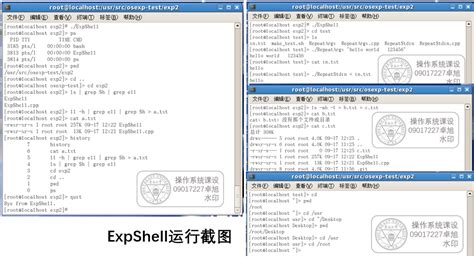 写一个简单的 Linux Shell C z gSh u 博客园