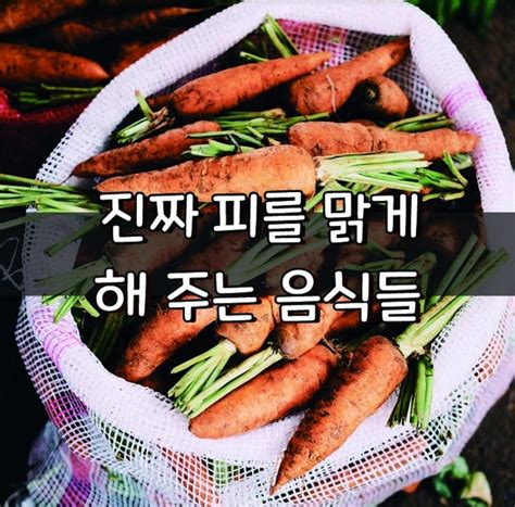 정보 건강 진짜 피를 맑게 해 주는 음식들 1 혈액의 응고를 막는 당근 당근에 들어 있는 비타민 C 카로틴 비타민 E가 커피유머영화쇼핑 Band