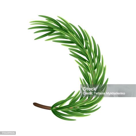 크리스마스 트리 가지 3d 상록 소나무 또는 전나무 녹색 주니퍼 겨울 축제 행사 크리스마스의 상징 카드 디자인 축하 배너를 위한 벡터 그림 0명에 대한 스톡 벡터 아트 및