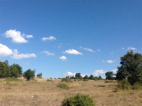 Sema Unal Is Fundraising For Muslim Hands