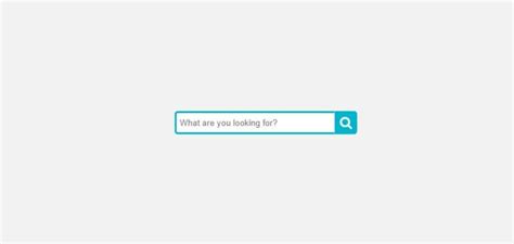 CSS Search Box Best Collection Of Search Box Design