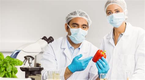 Classical Food Safety Testing Methods Ensuring Safe And Healthy Food Cultivator Phyto Lab