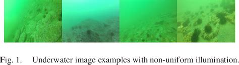 Figure 1 From Non Uniform Illumination Underwater Image Enhancement Via Minimum Weighted Error