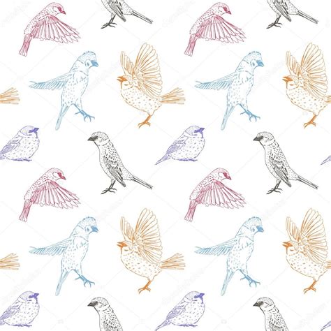 Sparrow Bird Pattern Stock Vector Image By ©olgaangelloz 114972280