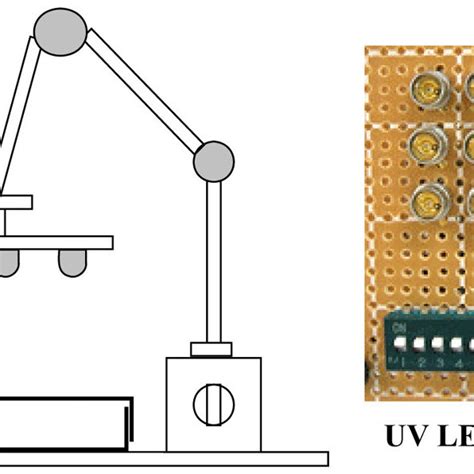 Light Illuminator Apparatus And Uv Led Array Used To Assess