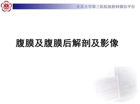 腹膜及腹膜后间隙的解剖内附影像图谱