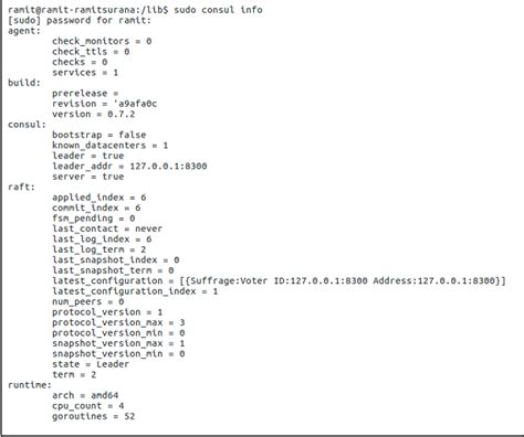 Consul 引导和 Dns 小牛教程