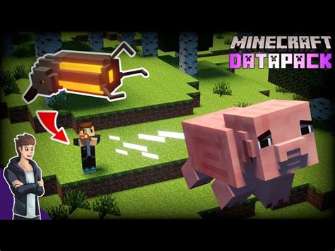 The Gravity Gun Datapack Minecraft Data Pack