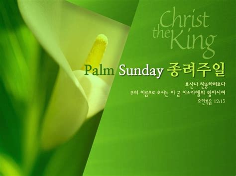 [ppt배경그림] 예배대문 종려주일 네이버 블로그