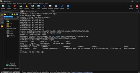Wahaj Ahmed Ansari On Linkedin Lab 9 Monitoring Docker Containers With Amazon