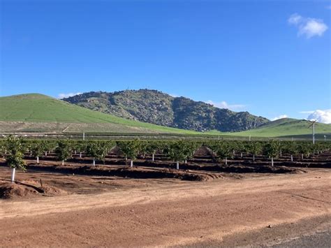 Igus Lca Lowcostautomation Rbtx Motionplastics Kris Wesenhagen