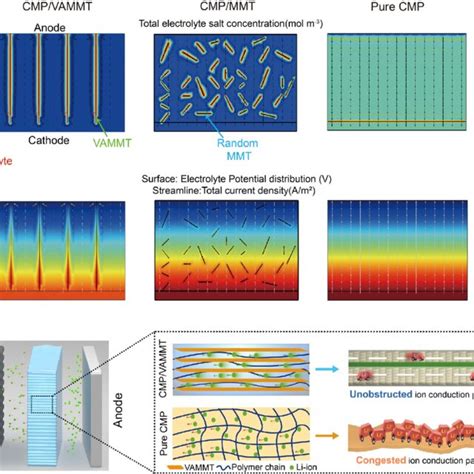 li migration visual analysis a modeling total electrolyte salt download scientific diagram