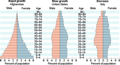 Explain The Difference Between A Pyramid Structure Age Diagr