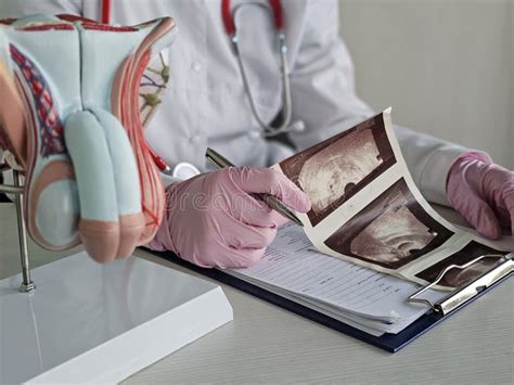 Results Of An Ultrasound Examination Of The Male Genitals And A Medical