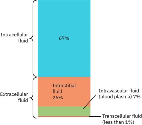 101 Maintaining Homeostasis Medical Surgical Nursing Openstax