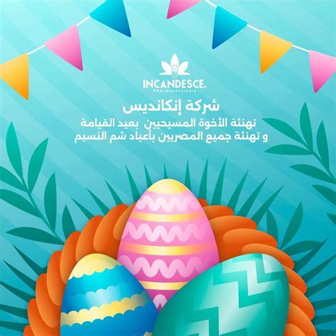 Sameh El Azazy Posted On Linkedin