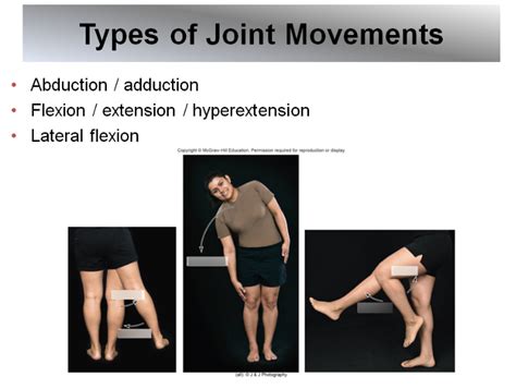 Bio 210 Practical 1 Review Movements Diagram Quizlet