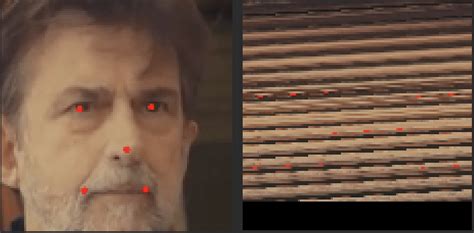 Populating Nvbuvsurface From Cv Mat In Jetson Deepstream Sdk Nvidia Developer Forums