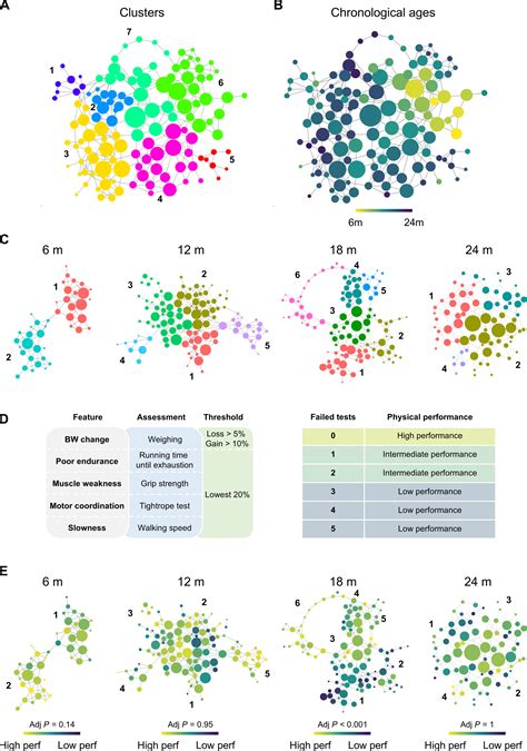 Computational And Digital Analyses In The Inspire Mouse Cohort To