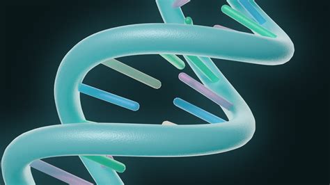 Dna Model Pack Blender Market