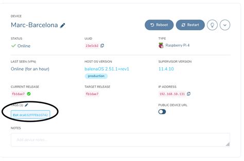 Deploy A Lora Basics Station Gateway With Ttn And Balena