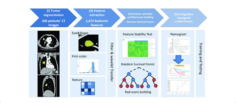 Study Workflow Diagram I Tumor Segmentation 3d Semi Automatic