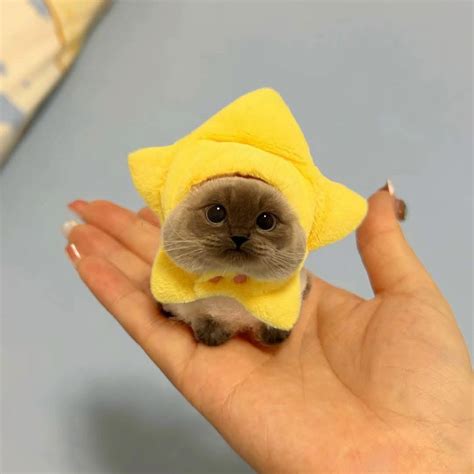 สล็อต สล๊อต สล้อต สลอต สล็อตเกมส์ สล็อตสล็อตเกมส์pg เว็บสล็อตอันดับ1