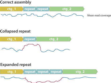 Slides Genome Assembly Quality Control Genome Assembly Quality