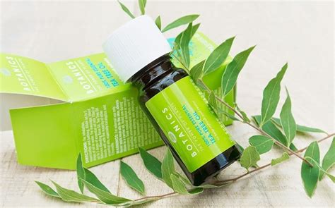How To Use Tea Tree Oil For Ear Infection 13 Best Uses