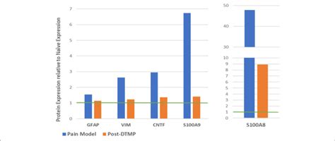 Modulatory Effect Of Dtmp On Protein Expression Levels Of