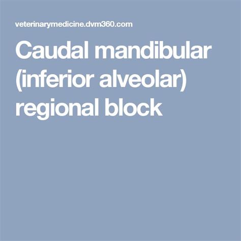 Caudal Mandibular Inferior Alveolar Regional Block Region Blocks